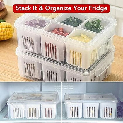 Plastic Rectangular Freeze Storage Containers with 6 Compartments For ...